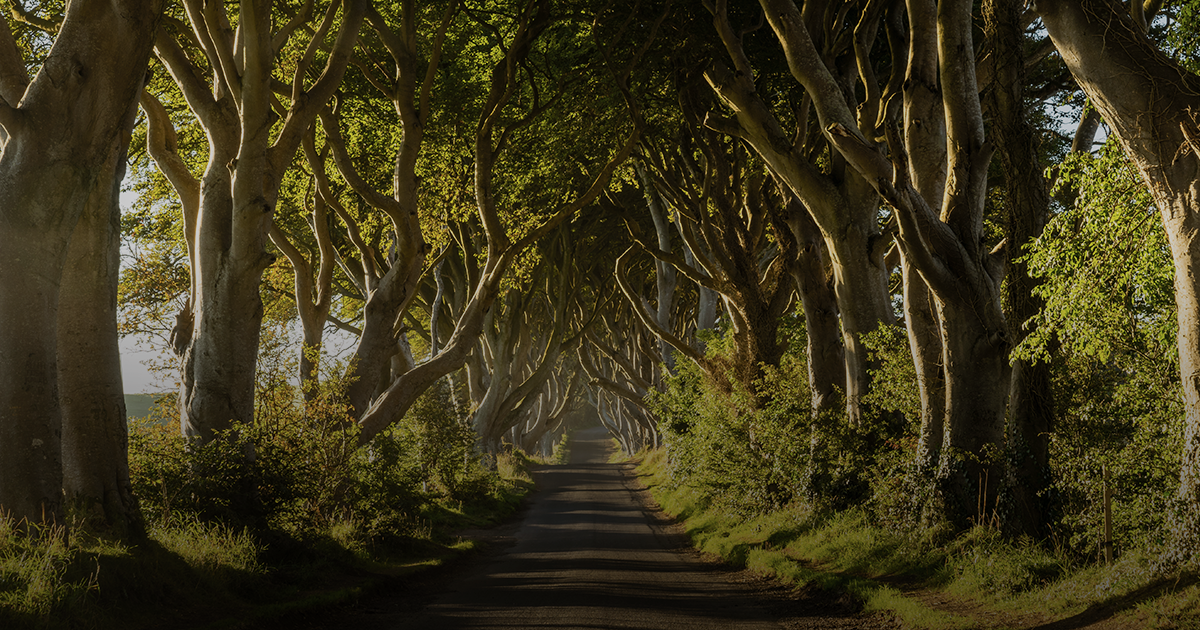 Game of Thrones - Visit Real Life Filming Locations | VELTRA - Tours ...